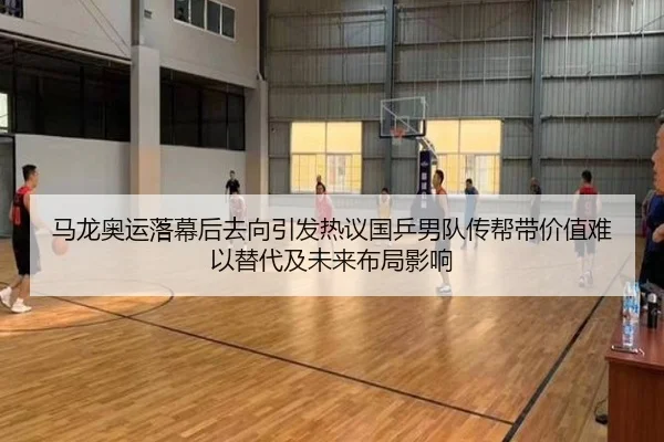 马龙奥运落幕后去向引发热议国乒男队传帮带价值难以替代及未来布局影响 - 3dm 论坛
